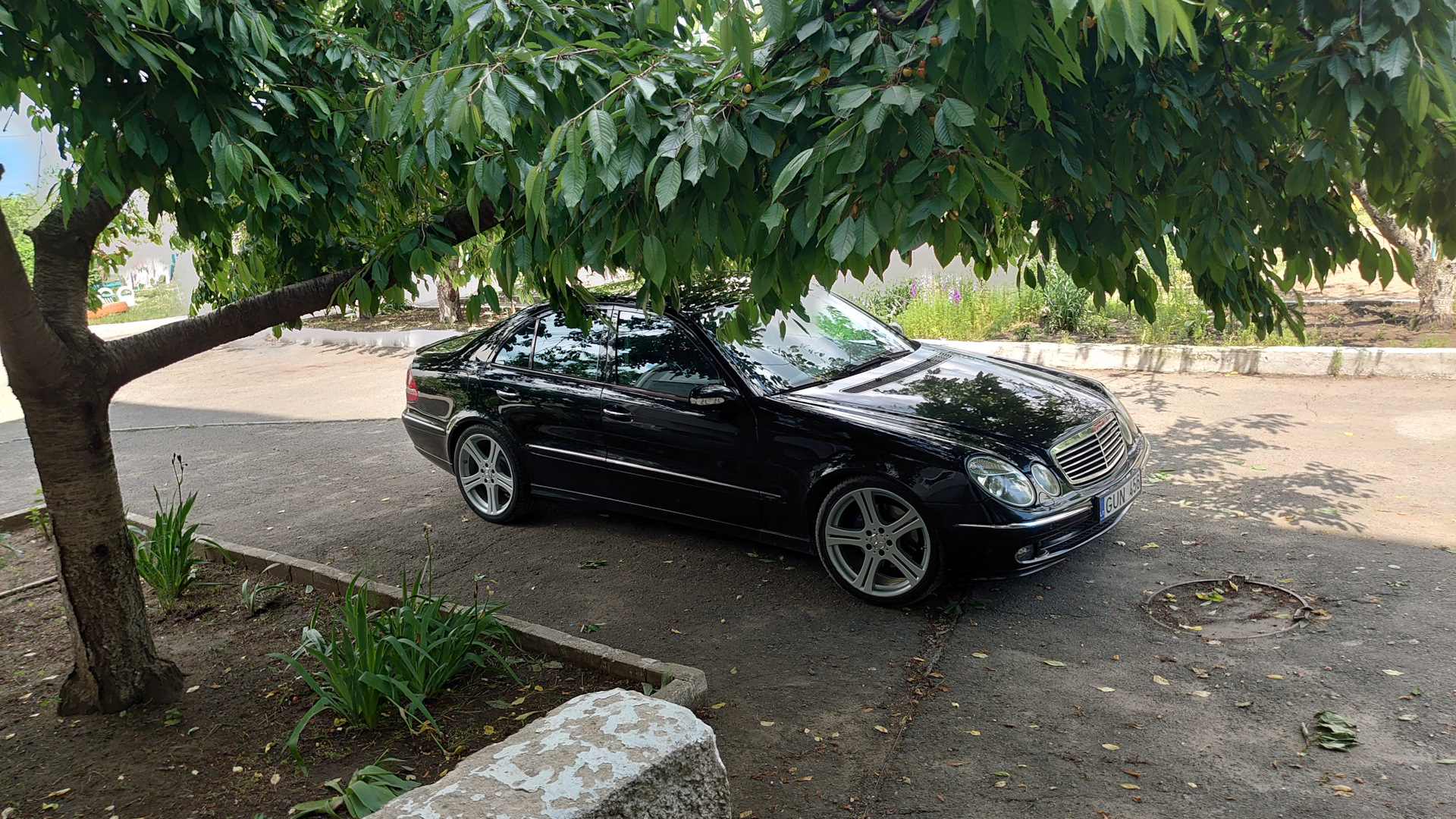 Взял на лето — Mercedes-Benz E-Class (W211), 2,7 л, 2003 года | колёсные диски | DRIVE2