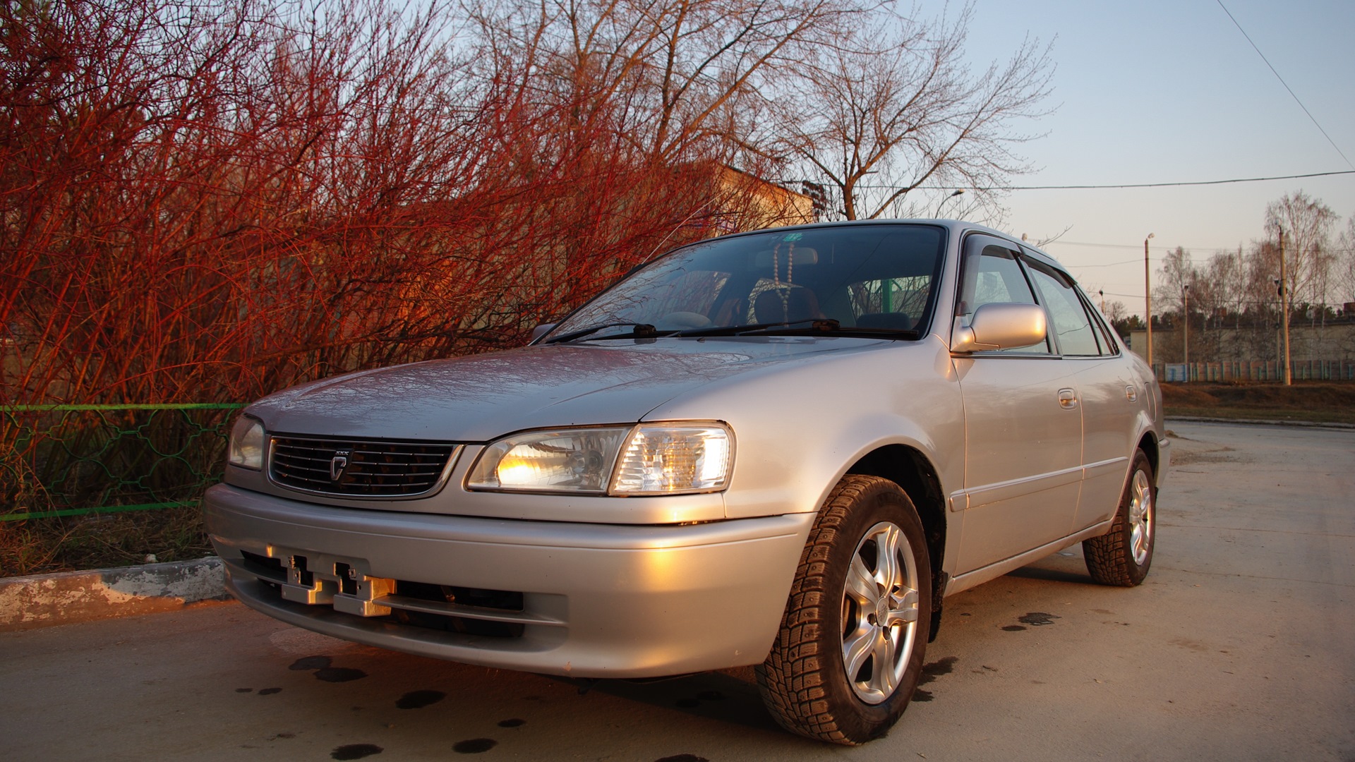 Toyota Corolla (110) 1.3 бензиновый 1998 | XE salon 1.3L на DRIVE2