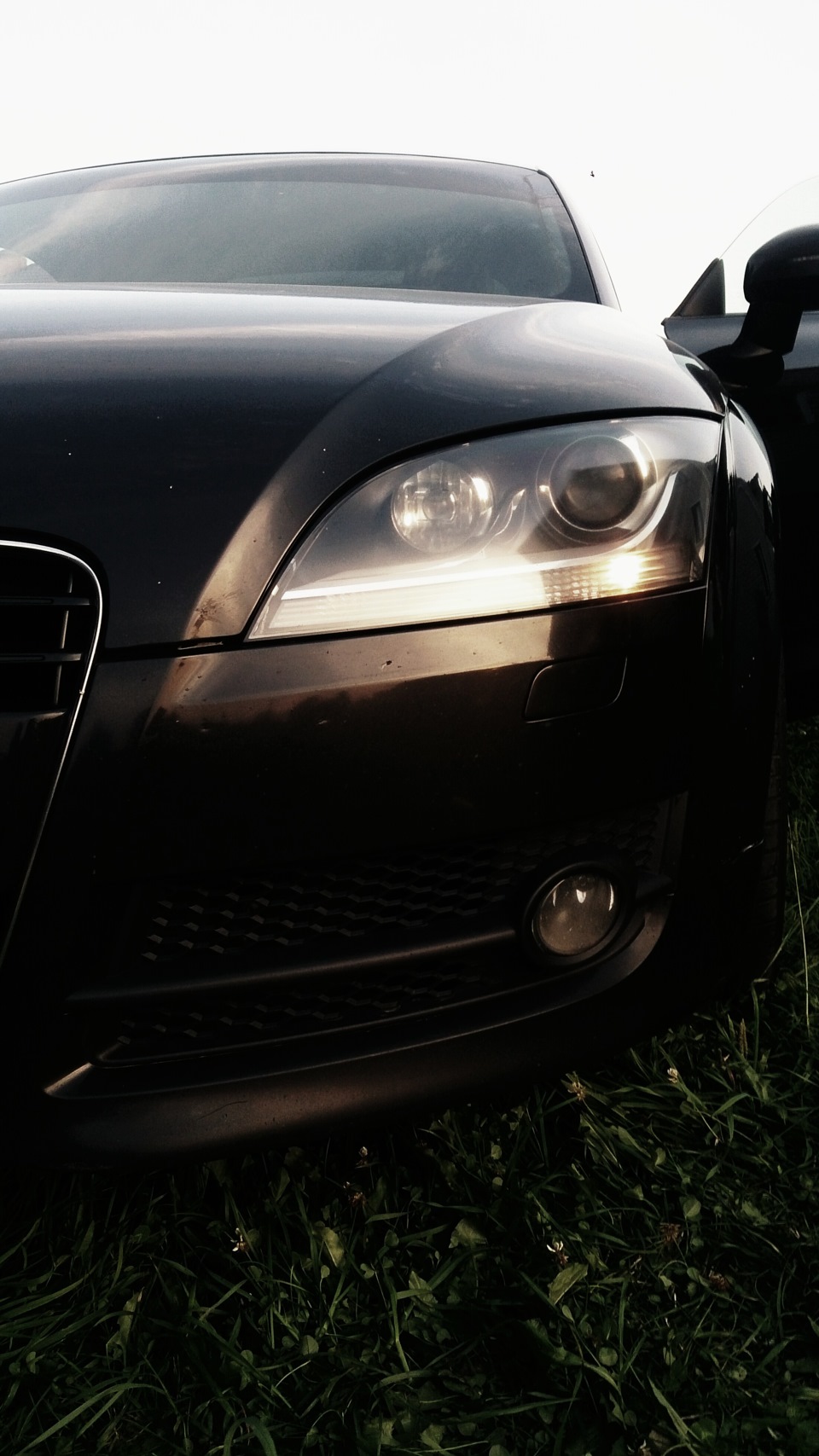 *Лампочка — Audi TT (2G), 3,2 л, 2007 года | расходники | DRIVE2