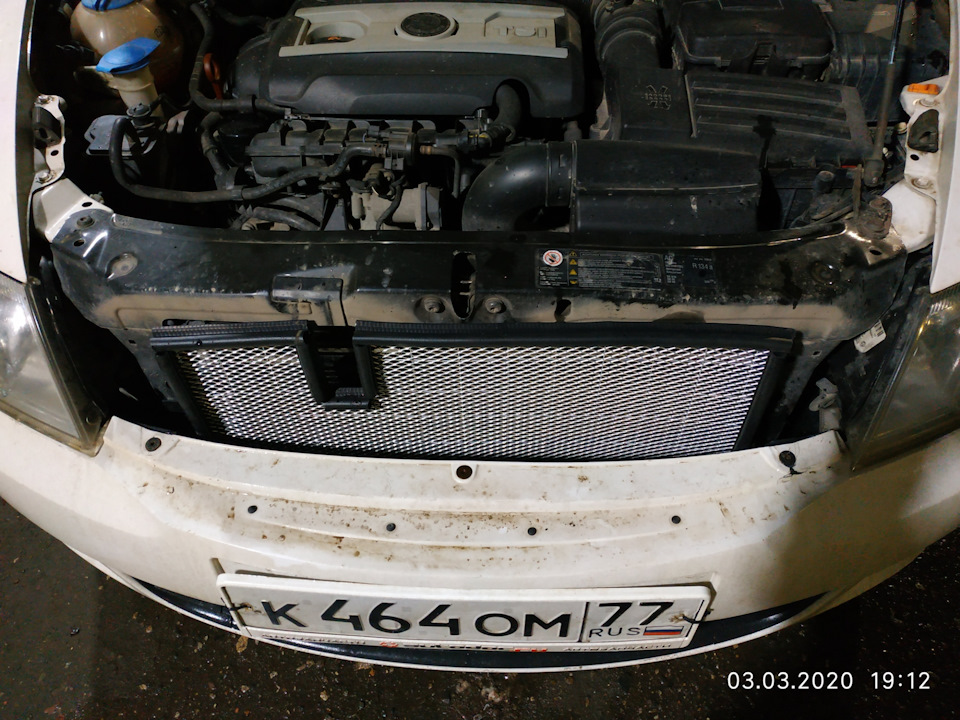 Защитная сетка радиатора — Skoda Octavia A5 Mk2, 1,8 л, 2013 года ...