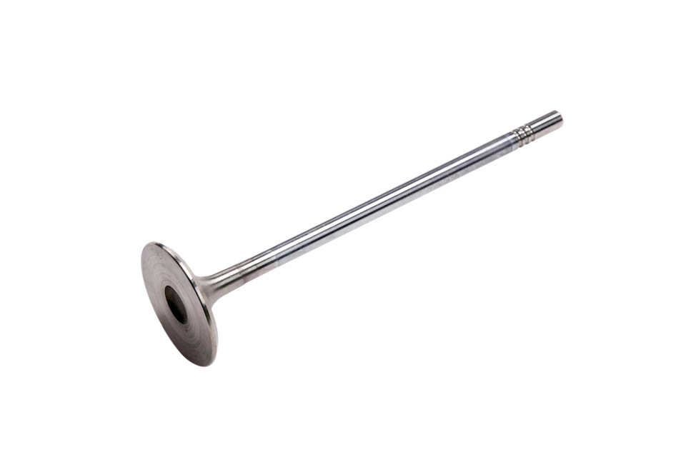 55557741 Впускной клапан двигателя GM | Запчасти на DRIVE2