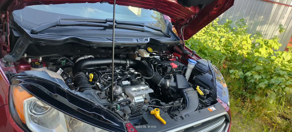ПХД для Форд Экоспорт — Ford EcoSport, 1 л, 2019 года | своими руками ...