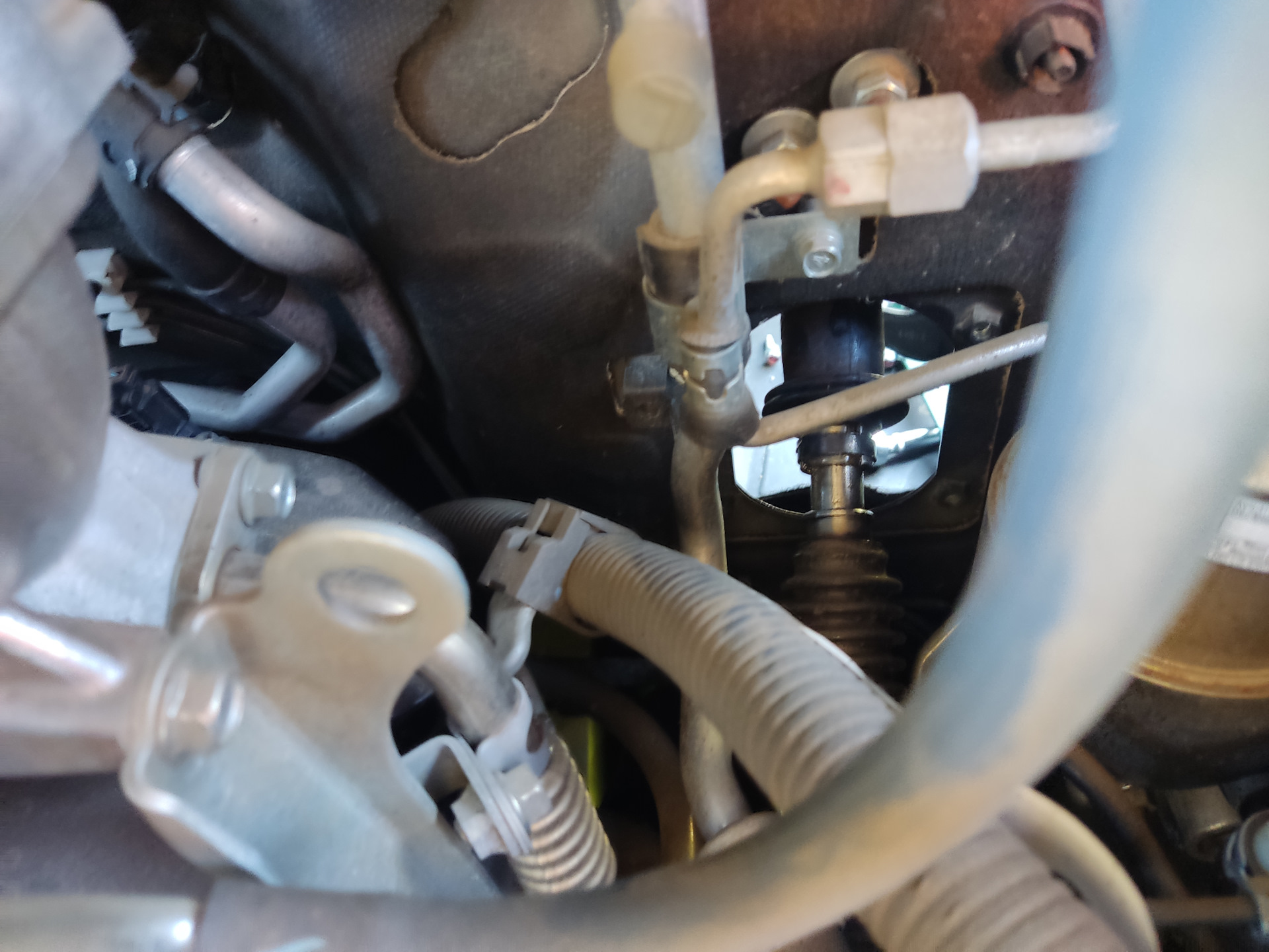 Доработки. Осенний сезон. — Mitsubishi Pajero (4G), 3 л, 2021 года ...