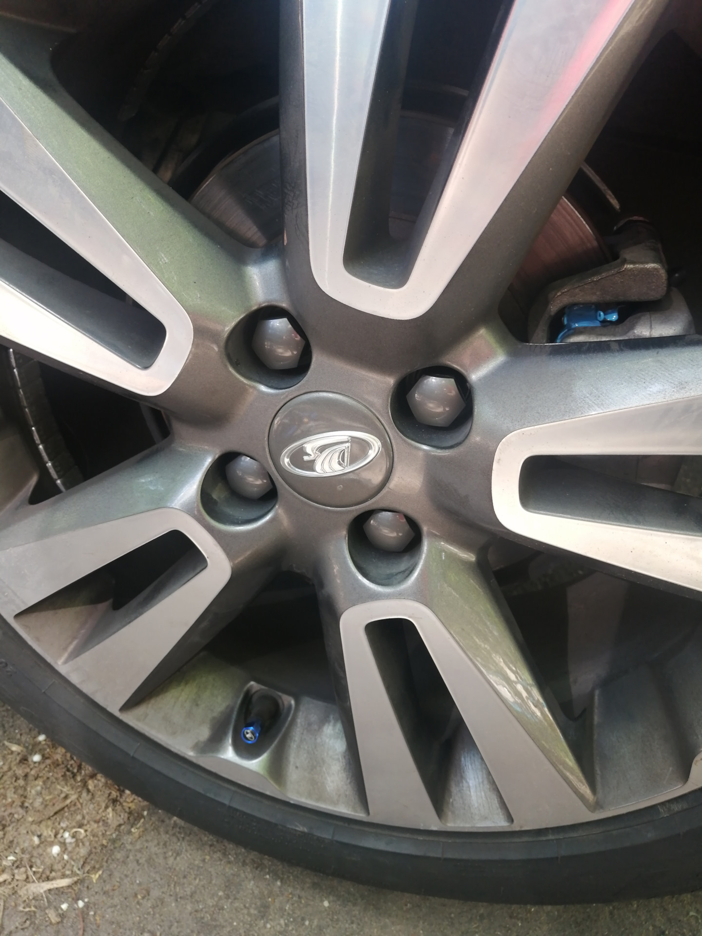 Заглушки колесных болтов VAG + Заглушка буксировочной петли от Skoda ...