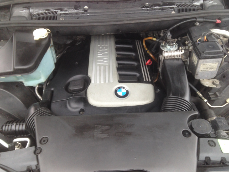 BUMER x5 — BMW X5 (E53), 3 л, 2002 года | фотография | DRIVE2