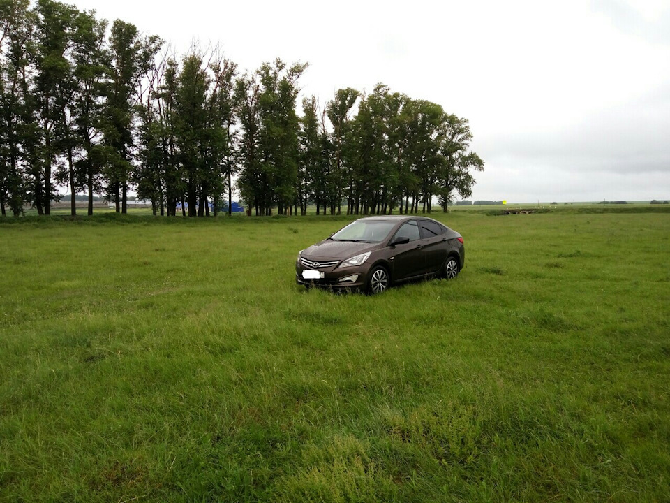 Дисочки))) — Hyundai Solaris, 1,6 л, 2015 года | колёсные диски | DRIVE2