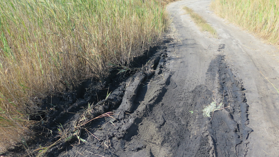 Opel Astra H 1.4 бензиновый 2005 | Z14XEP на DRIVE2