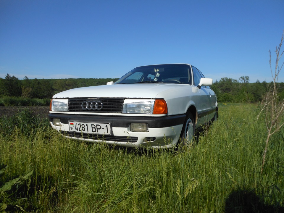 НА КОНКУРС — Audi 80 (B3), 1,9 л, 1988 года | фотография | DRIVE2