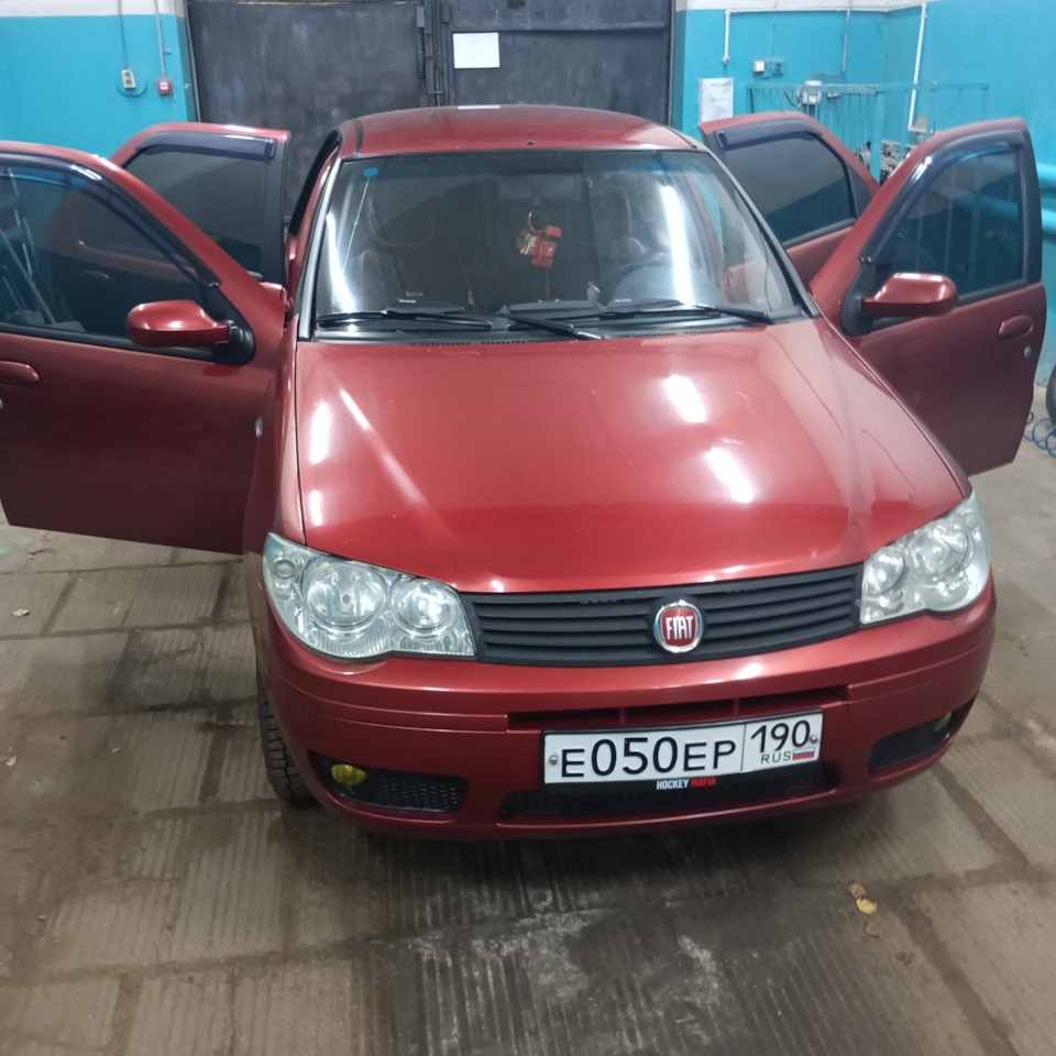 Фиат снова радует — FIAT Albea, 1,4 л, 2009 года | запчасти | DRIVE2