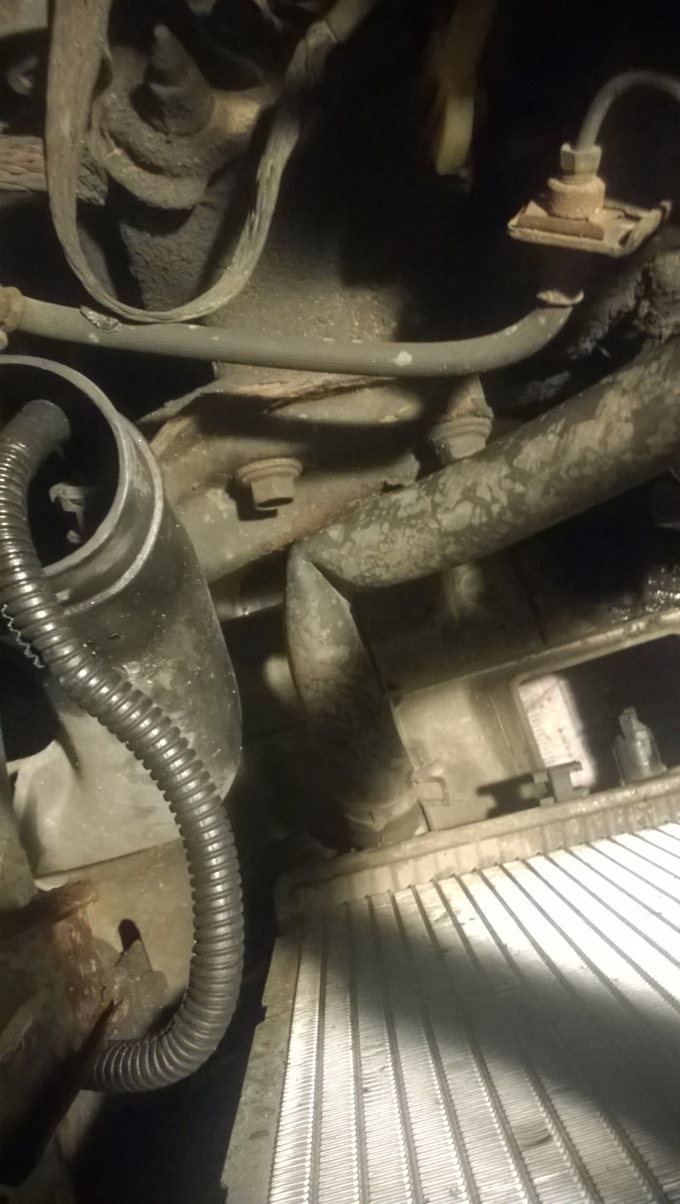 Нижний патрубок радиатора — Honda Civic (5G), 1,5 л, 1992 года | своими ...