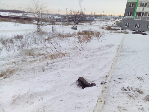 626604CE0B Защита под бампер NISSAN X-TRAIL 14- NISSAN INFINITI ...