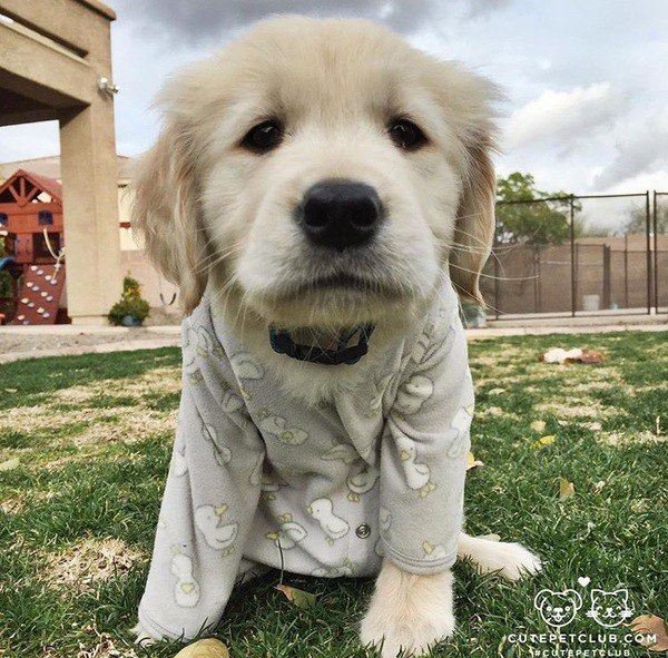 Иммобилайзер EWS2 — BMW 3 series (E36), 1,8 л, 1991 года | своими ...