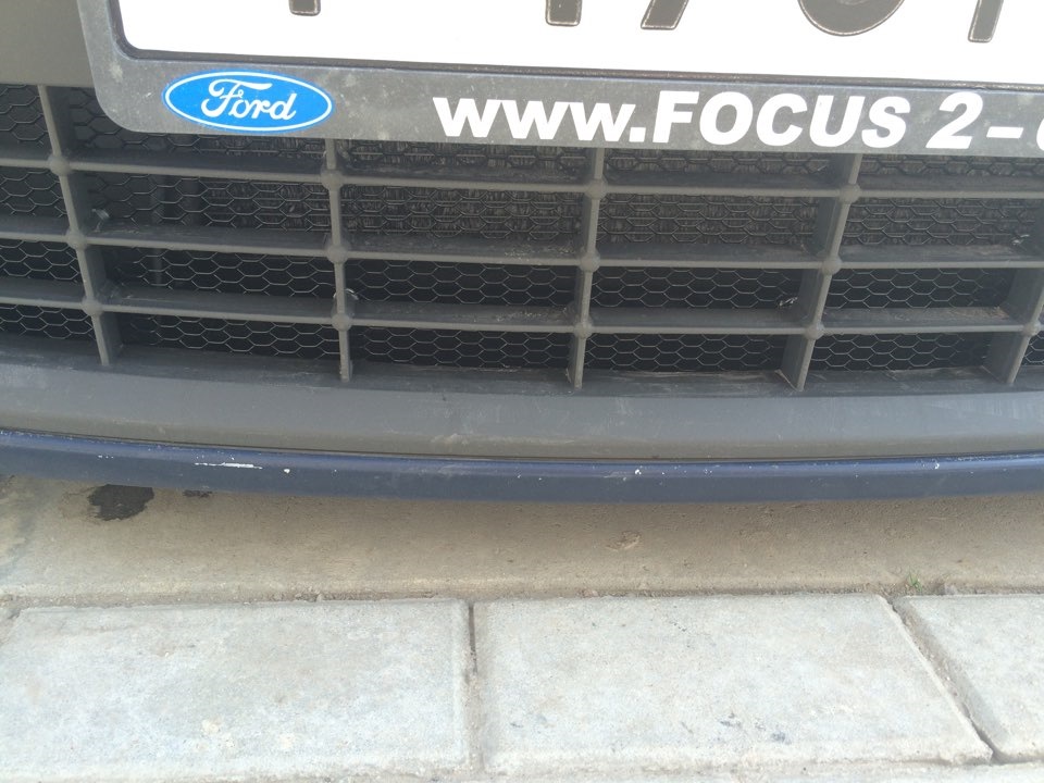 Сетка в решетку!) — Ford Focus Sedan II, 1,8 л, 2010 года | тюнинг | DRIVE2