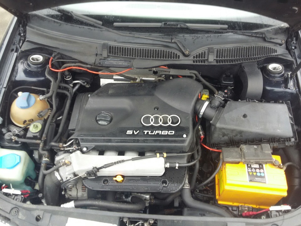 Помыл мотор, и… Скоро разбираю его) — Audi A3 (8L), 1,8 л, 1997 года | запчасти | DRIVE2
