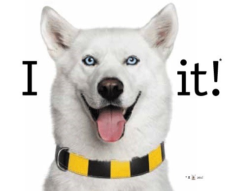 I LIKE IT! Видели новую тему на D2? — Nissan Almera Classic (B10), 1,6 ...