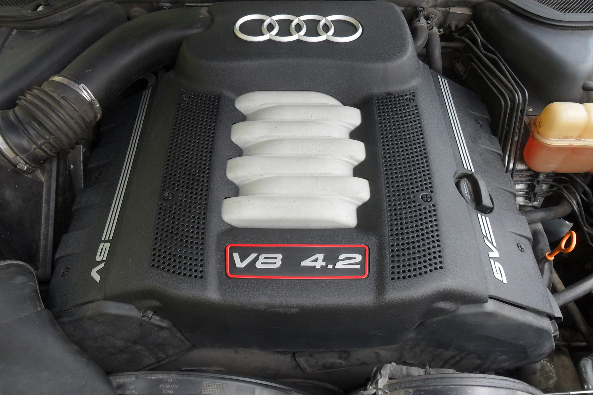 Замена масла и фильтров — Audi S8 (D2), 4,2 л, 2000 года | плановое ТО ...