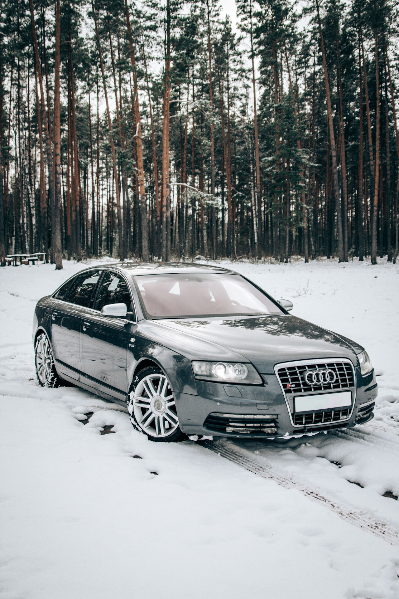 Выбрался в лес — Audi S6 (C6), 5,2 л, 2007 года | путешествие | DRIVE2