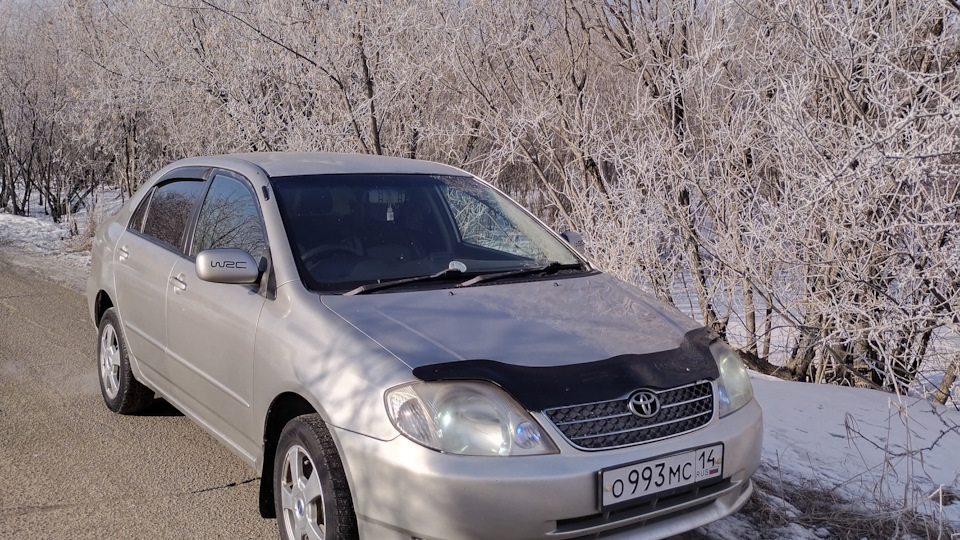 Toyota Corolla (120) 1.5 бензиновый 2002 | на DRIVE2