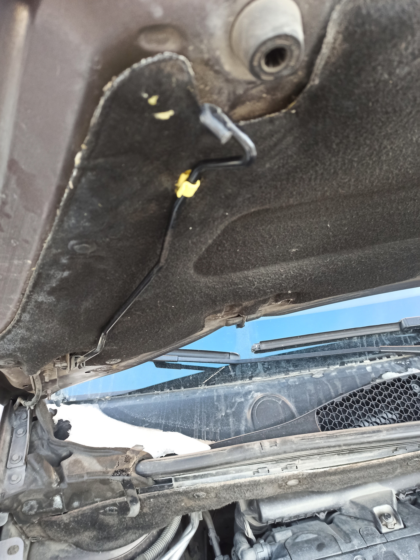 7928.39 Фиксатор упора капота желтого цвета Peugeot Partner Tepee ...