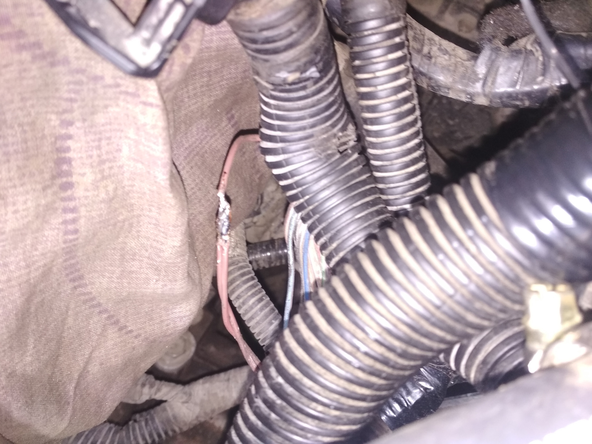 аморты Tokico E3560 — Chevrolet Niva (1G), 1,7 л, 2017 года | тюнинг ...