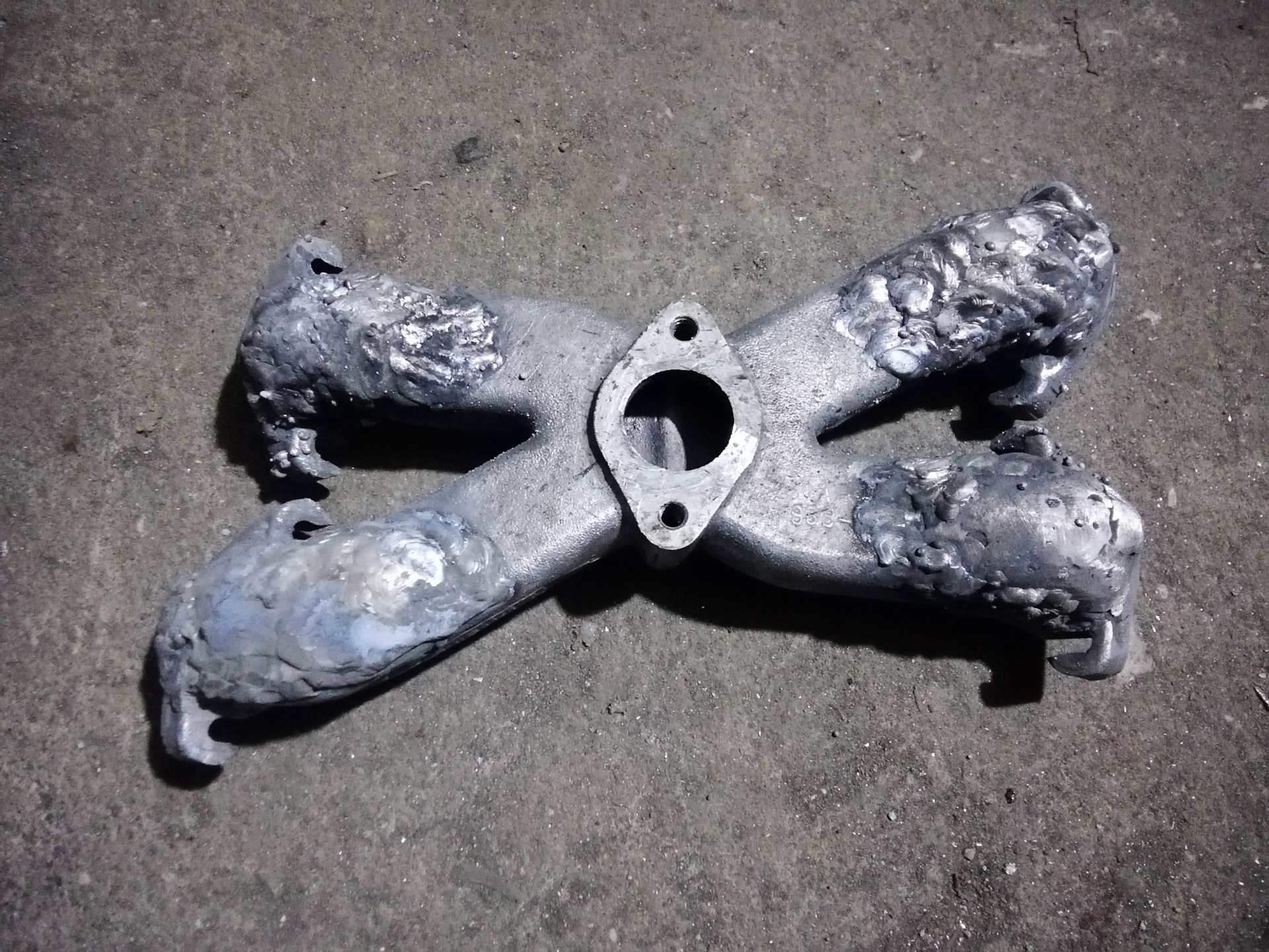 Городские деревья. — DRIVE2