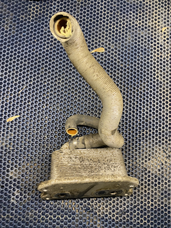 31201911 Радиаторы масла Volvo | Запчасти на DRIVE2