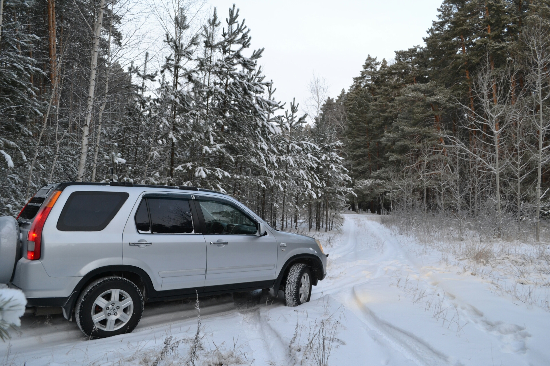 Нужна помощь или совет — Honda CR-V (RD4/RD5/RD6/RD7), 2 л, 2003 года | поломка | DRIVE2