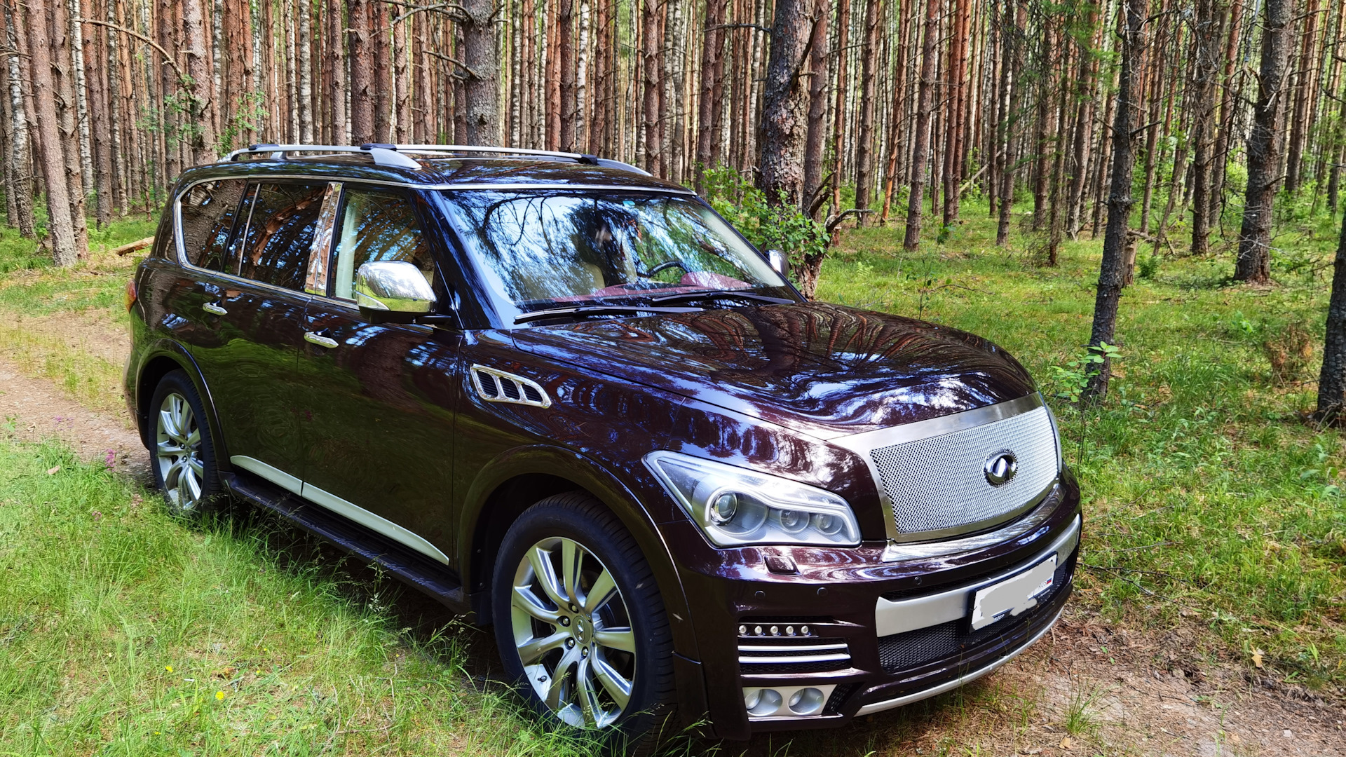 Infiniti QX56 (2G) 5.6 бензиновый 2013 | на DRIVE2