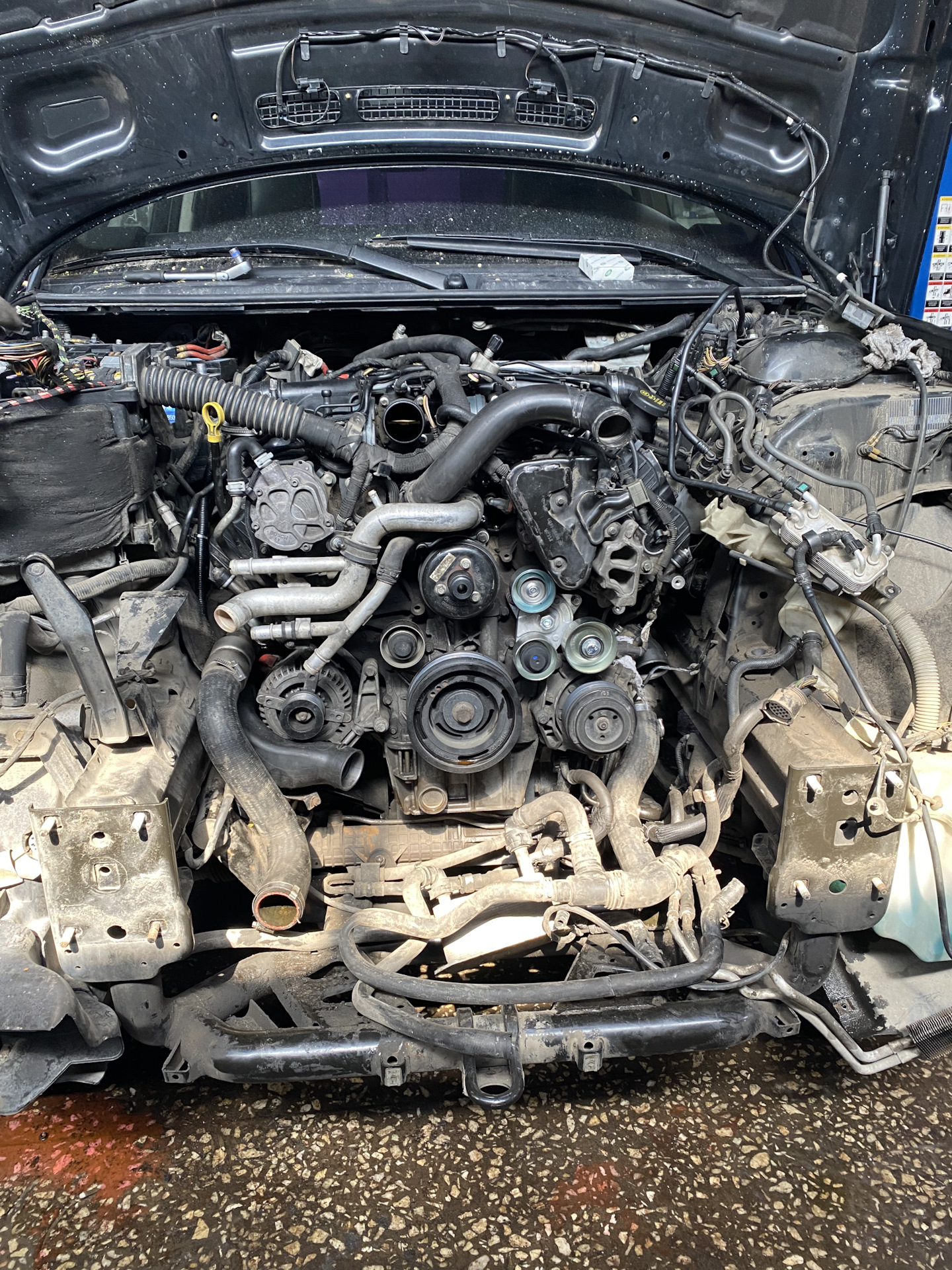 Большое ТО — Land Rover Range Rover (3G), 3,6 л, 2010 года | визит на ...