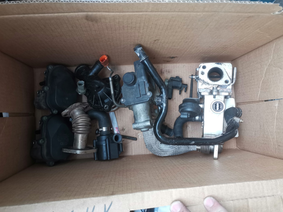 Замена масла, удаление экологии (ЕГР и вихревые заслонки) — Volkswagen ...