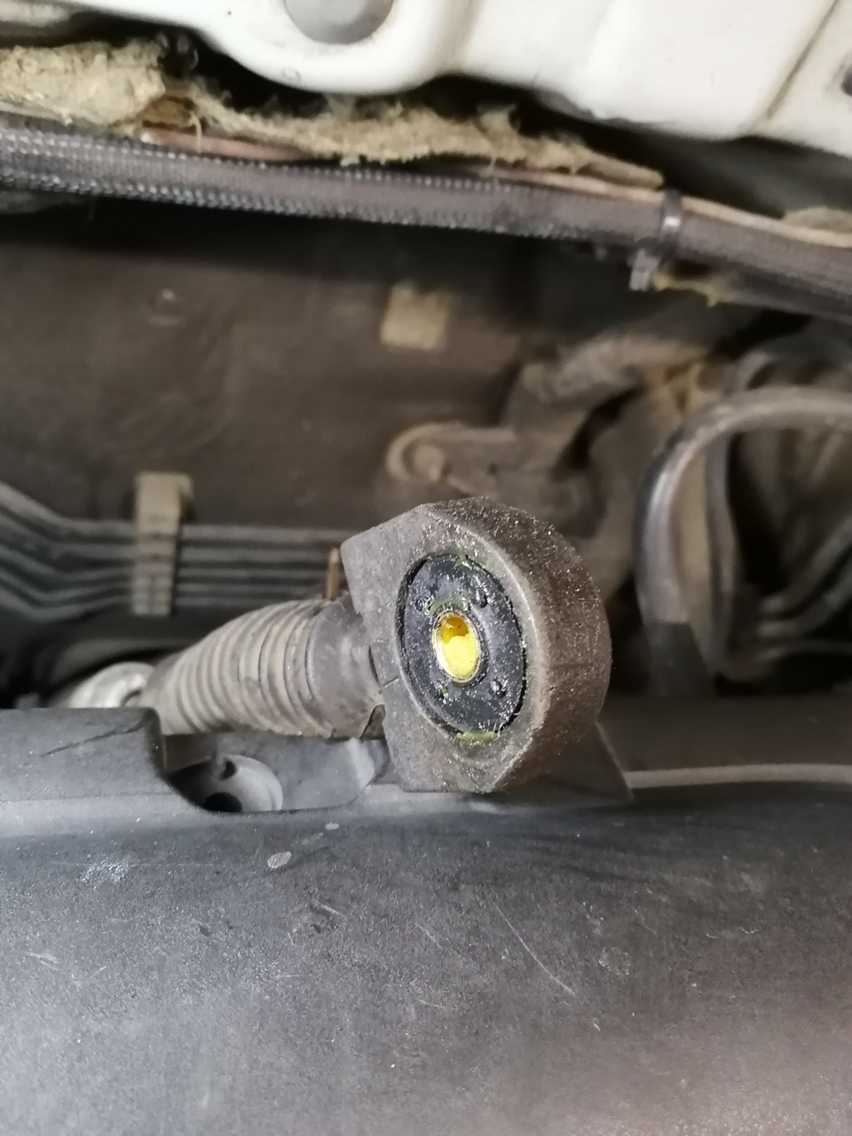 Обслуживание тросов мкпп — Toyota Avensis II, 1,8 л, 2004 года | своими ...