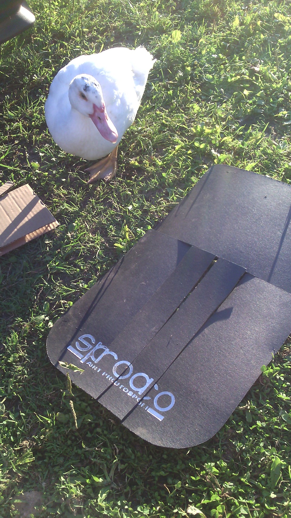 Передние брызговики — ИЖ 2126, 1,5 л, 2004 года | просто так | DRIVE2