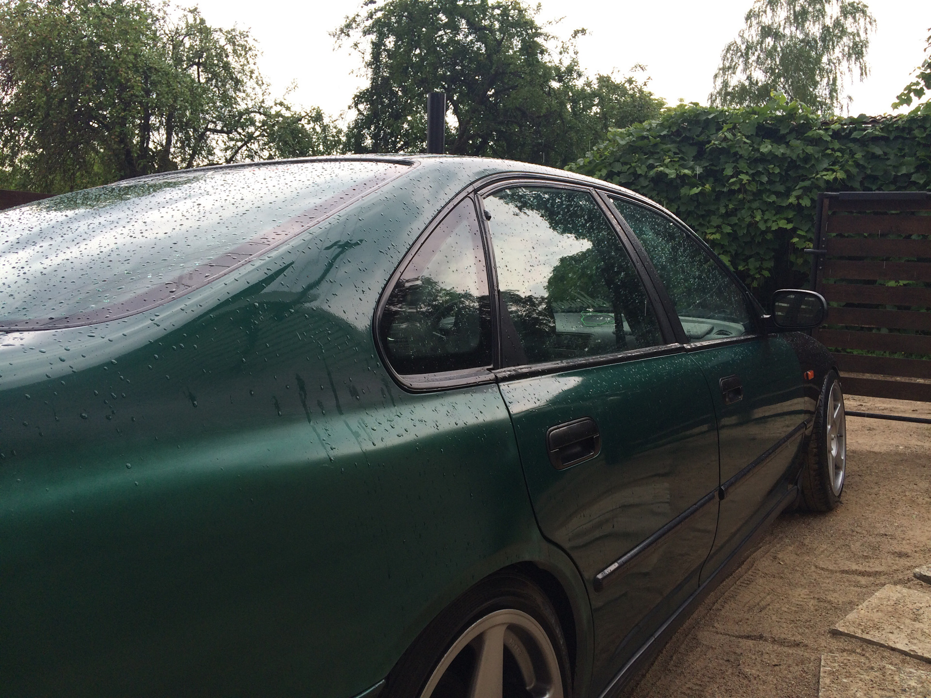 Azev C. — Honda Accord (5G), 2 л, 1994 года | колёсные диски | DRIVE2