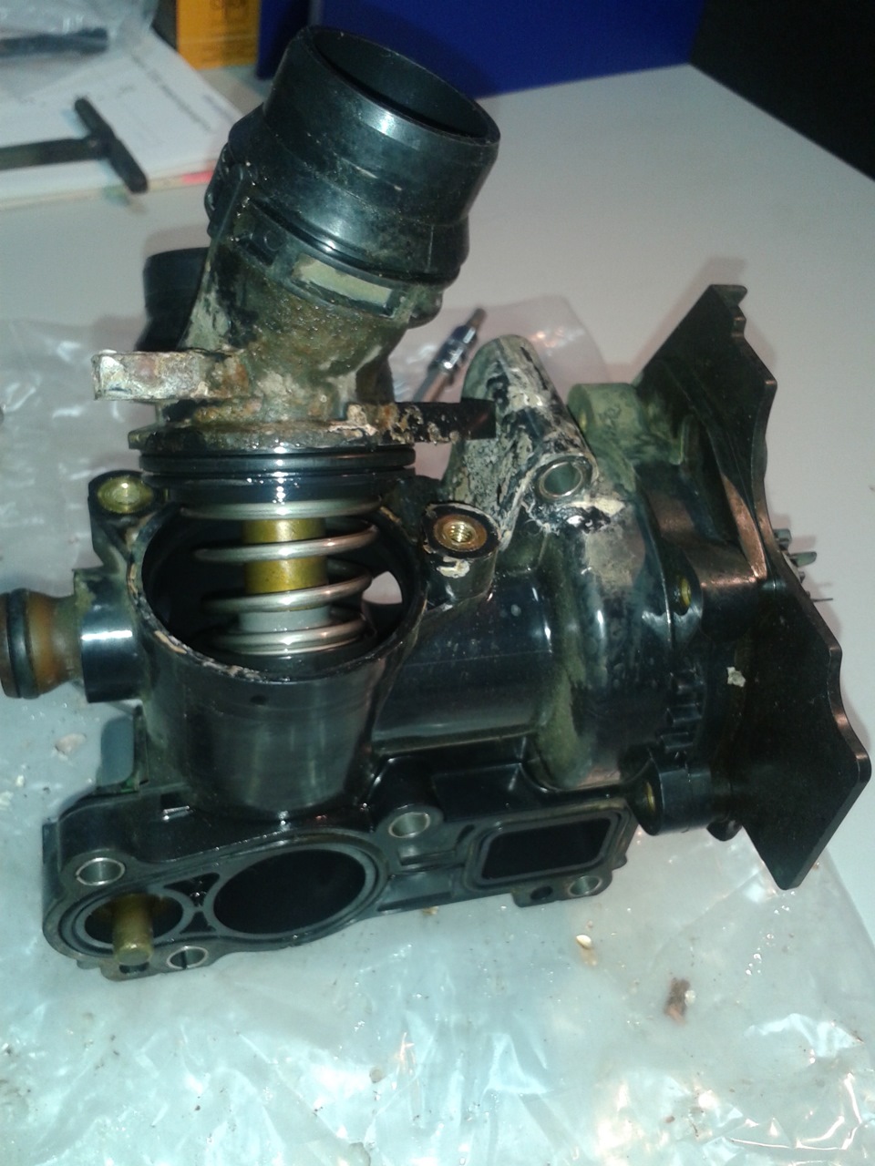 Замена насоса ОЖ (помпы) [art.: 06H 121 026 CQ] — Audi A4 Allroad (B8 ...