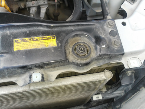 94515246 Клипса брызговика GM | Запчасти на DRIVE2