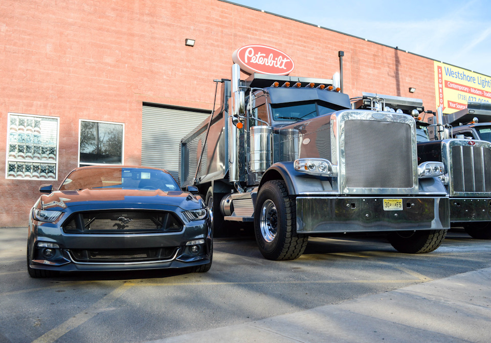 Peterbilt & Mustang — Ford Mustang (6G), 5 л, 2015 года | фотография ...