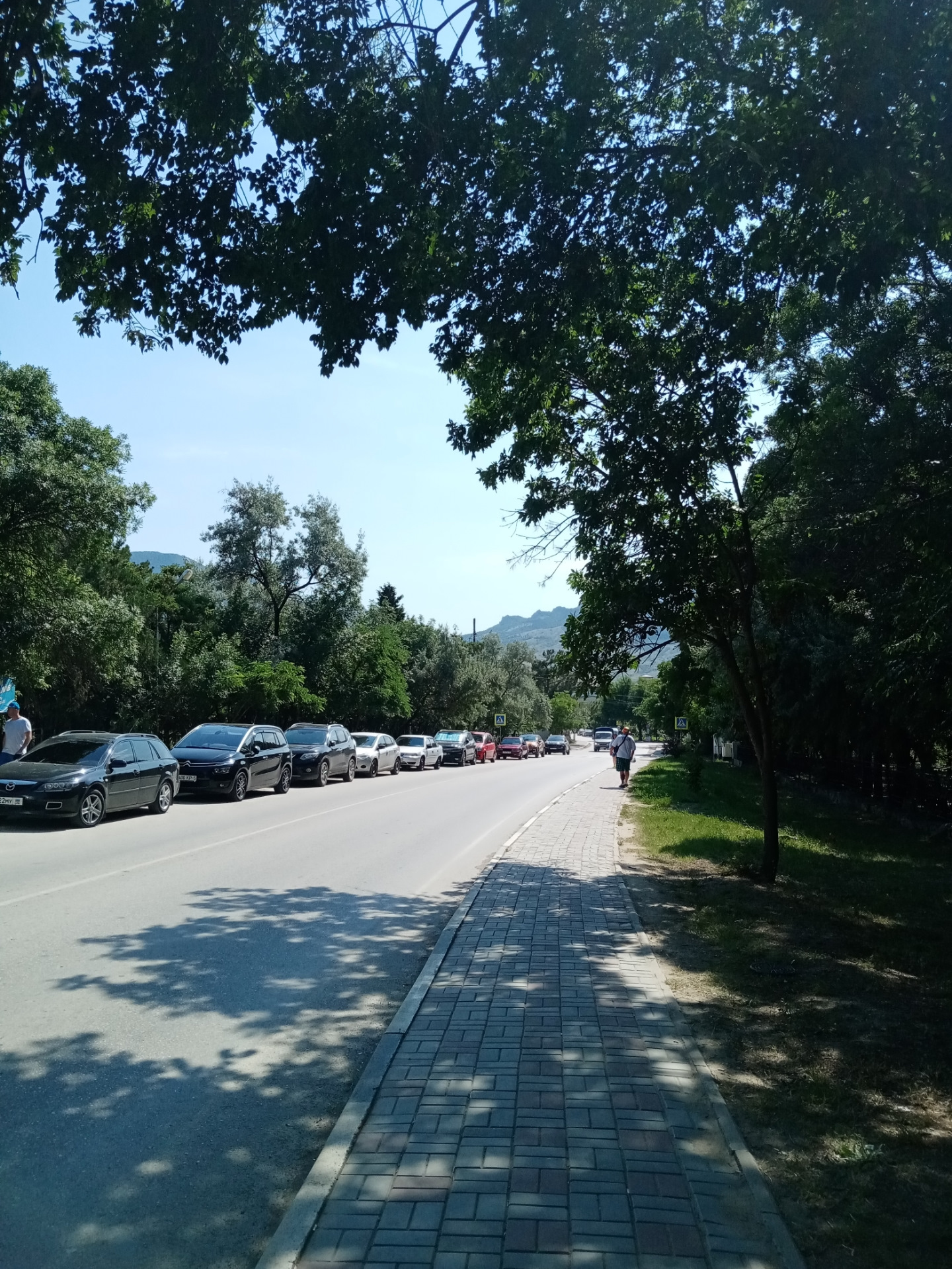 Бендикс надо было мне найти в Феодосии или Коктебеле — Lada Приора ...