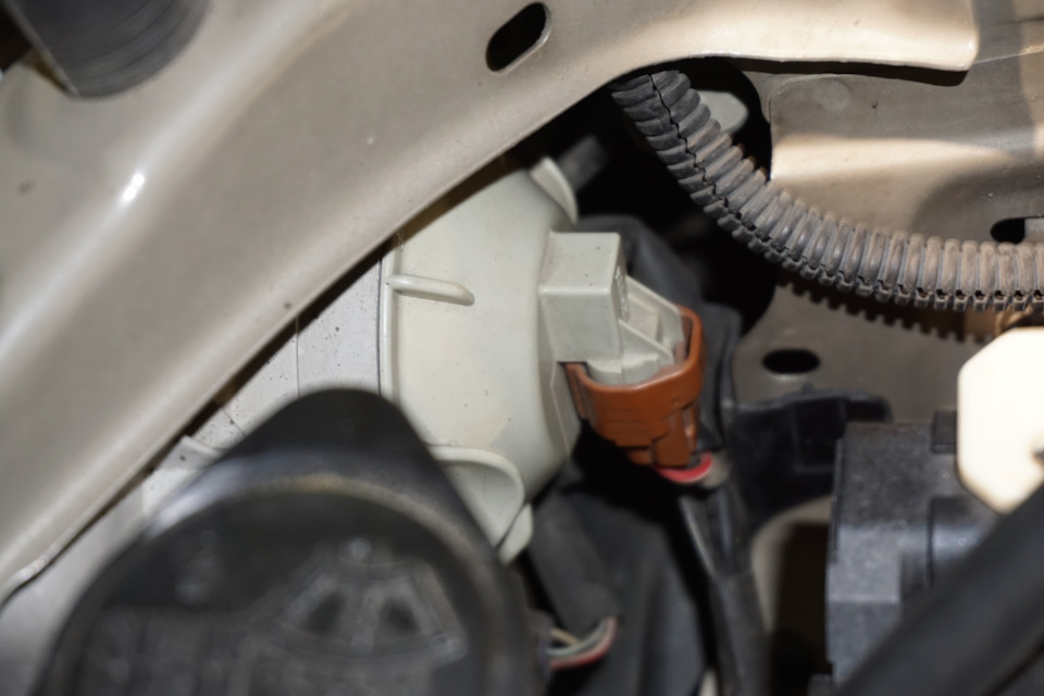 Вопрос по проводке фар Camry xv30 — Toyota Camry (XV30), 2,4 л, 2005 ...