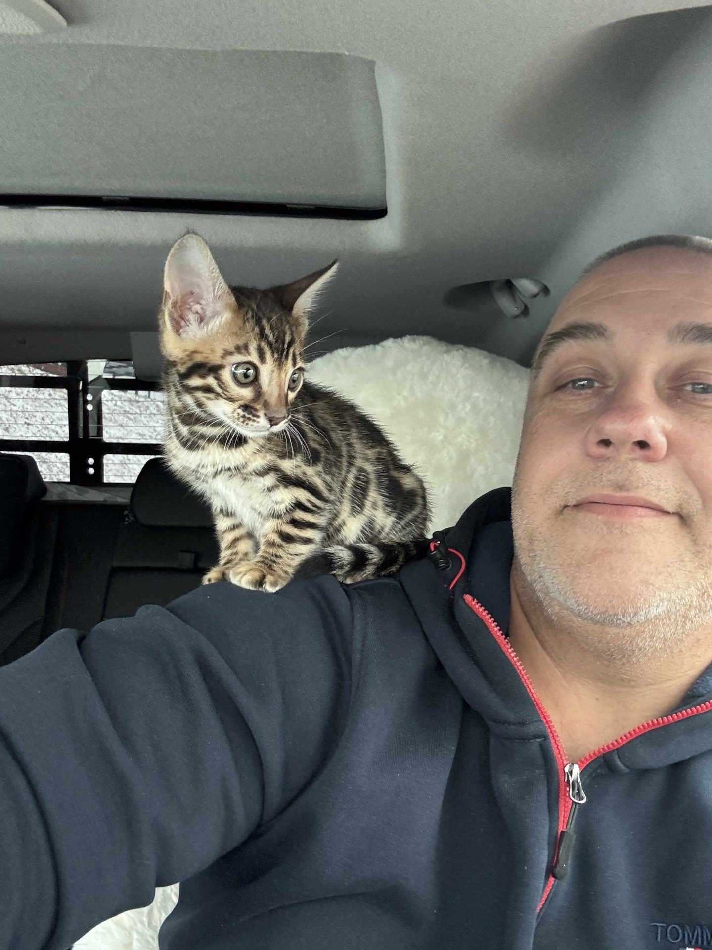 Первая поездка в гололед… — Sollers ST8, 2,4 л, 2025 года | наблюдение | DRIVE2