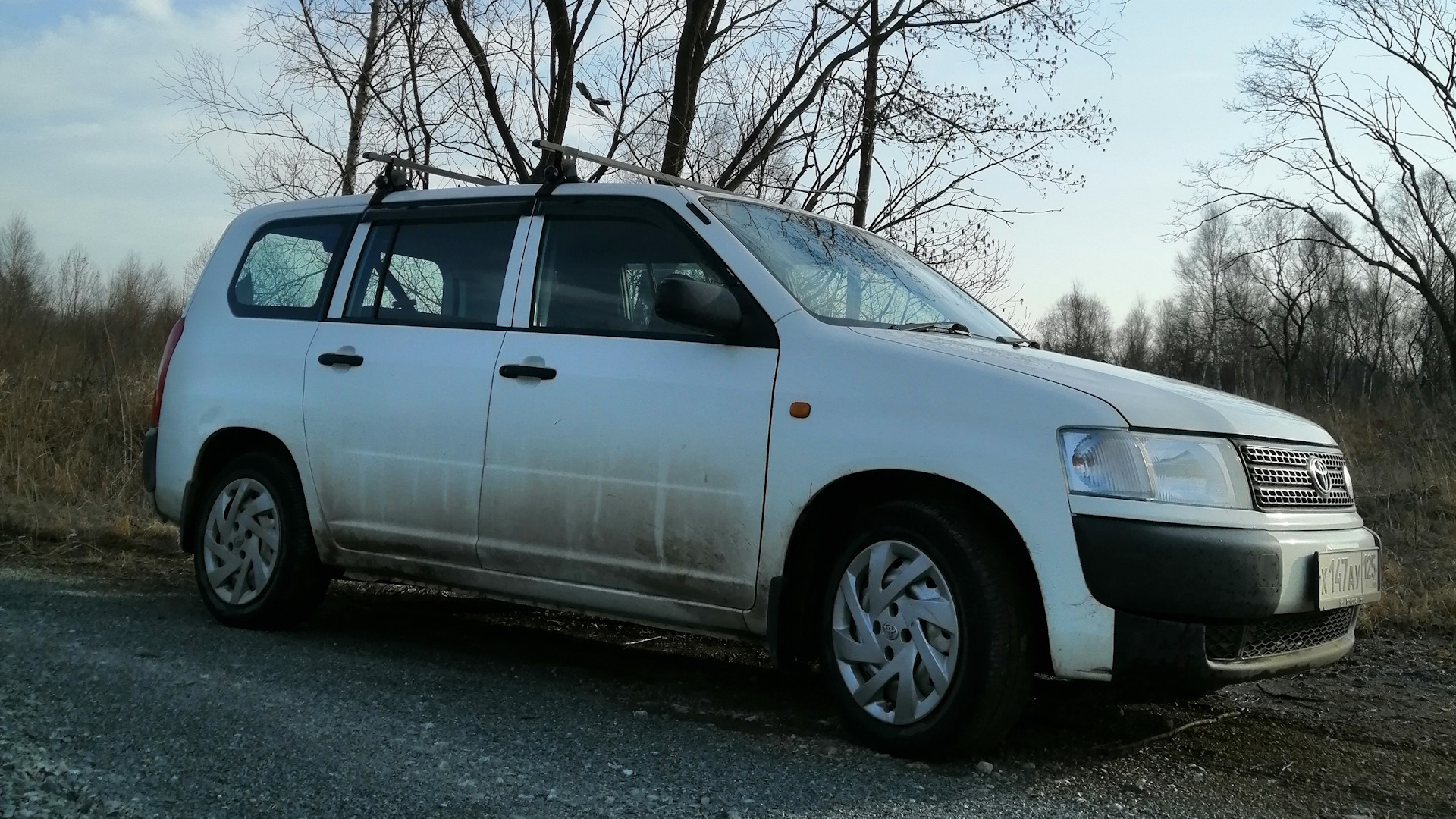 Toyota Probox 1.5 бензиновый 2010 | Рабочий PANDA на DRIVE2