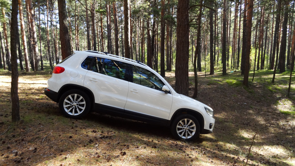 Наc ожидает APR… — Volkswagen Tiguan (1G), 2 л, 2012 года | тюнинг | DRIVE2