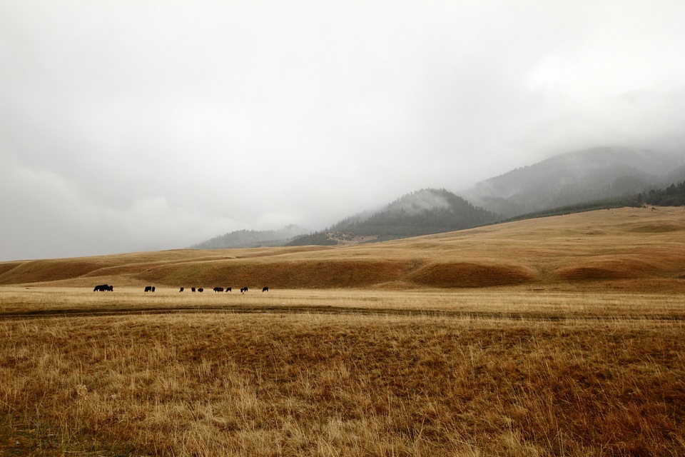 Гряда кетмень и озеро Туз коль — Nissan NP300, 2,5 л, 2012 года ...