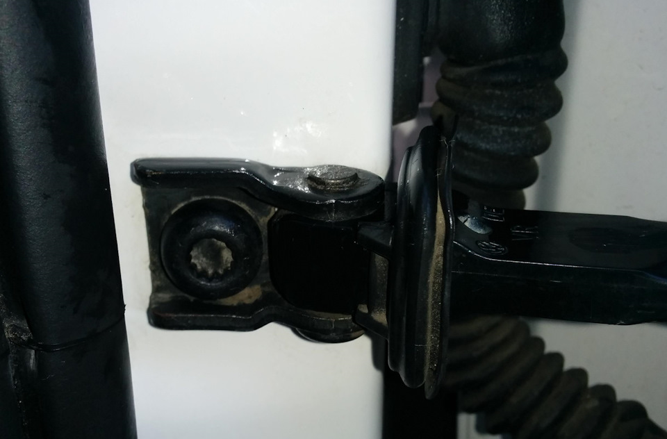 Приятные мелочи. Защитная крышка на ограничитель двери. — Volkswagen ...