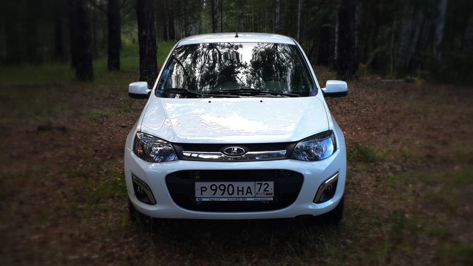 Штат x1-g — Lada Калина Хэтчбек (2G), 1,6 л, 2014 года | другое | DRIVE2