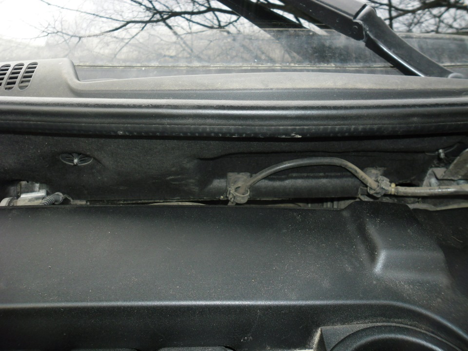 Под капот — Skoda Octavia A5 Mk2, 1,6 л, 2011 года | аксессуары | DRIVE2