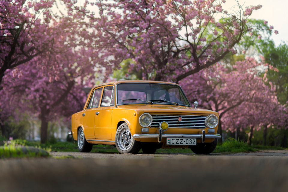 2024 Spring — Lada 2101, 1,6 л, 1979 года | фотография | DRIVE2