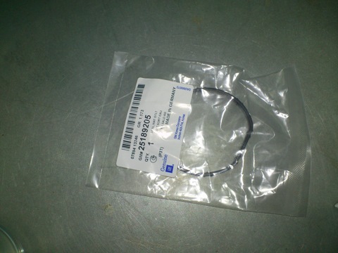 25189205 Прокладка термостата кольцо GM | Запчасти на DRIVE2