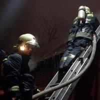 Major plus expert — DRIVE2