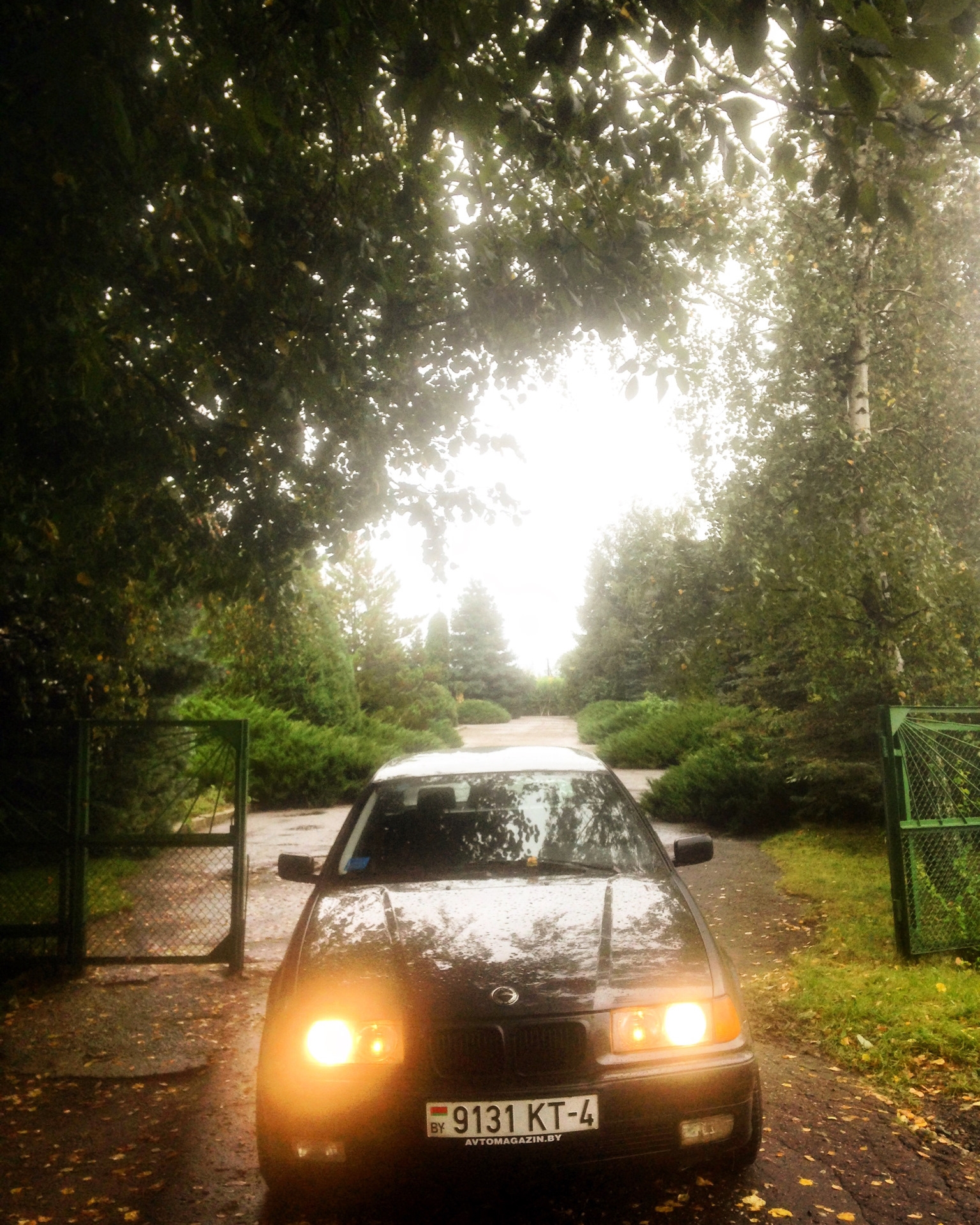 Немного осени в ленту — BMW 3 series Touring (E36), 1,6 л, 1998 года ...