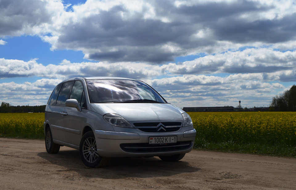 Мир! Труд! Май! Рапс! — Citroen C8, 2 л, 2008 года | фотография | DRIVE2